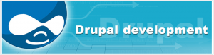 Drupal development company