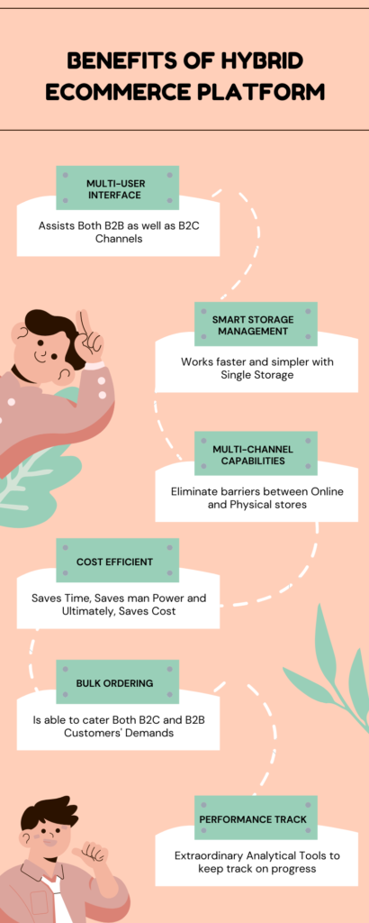 Why Choose Hybrid eCommerce Over Conventional Platforms