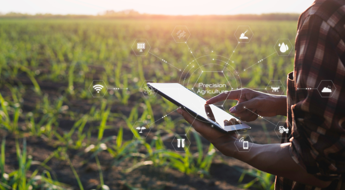 Smart Farming: Embracing the Future of Sustainable Agriculture