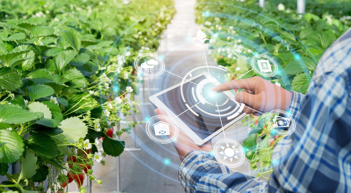 Smart Farming: Embracing the Future of Sustainable Agriculture