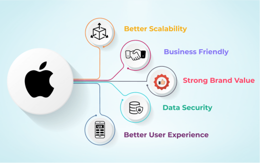 How To Develop iOS App On Windows PC :Steadily Guide 2024