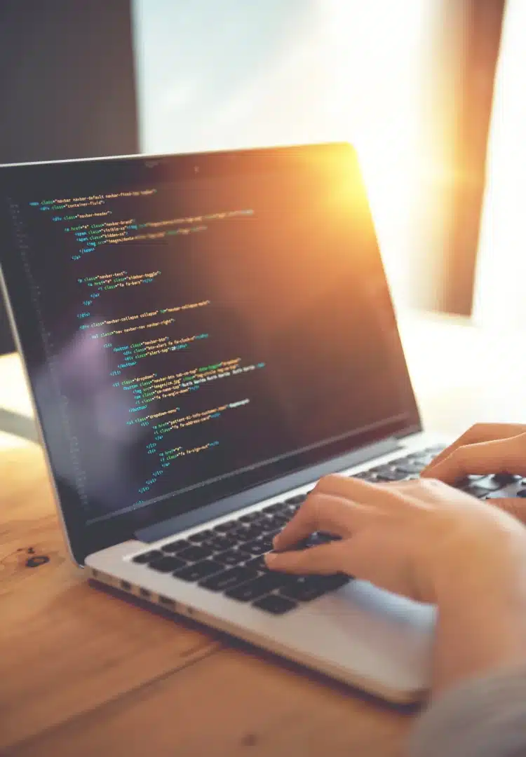 Hire eCommerce Developers | Dedicated Ecommerce Developers